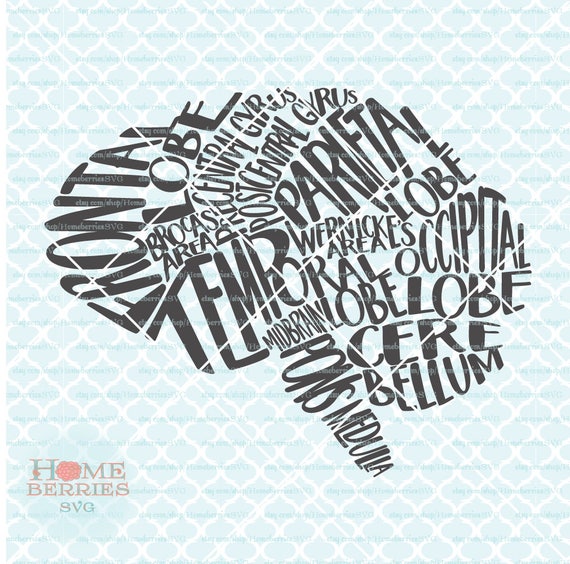 Brain Illustration Typography
