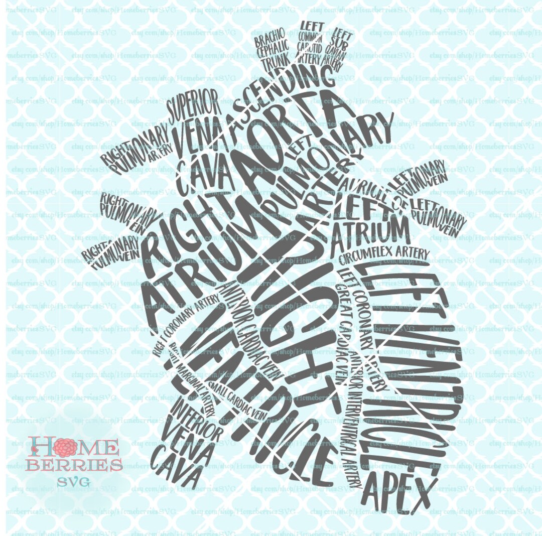 Heart Typography Gross Anatomy of the Heart RN Nurse Doctor ...