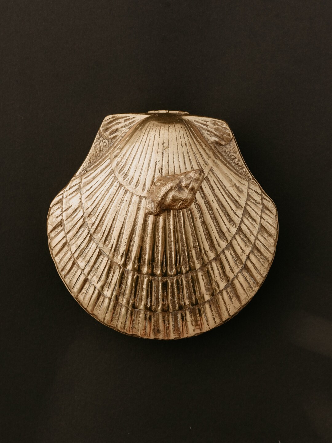 Vintage Solid Brass Clam Shell Trinket Box - RARE - Etsy