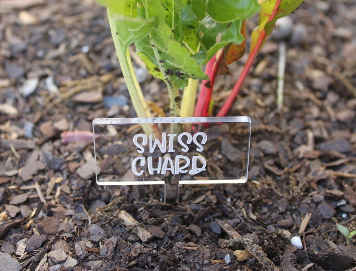 Laser Engraved Acrylic Vegetable and Fruit Garden Markers | Etsy