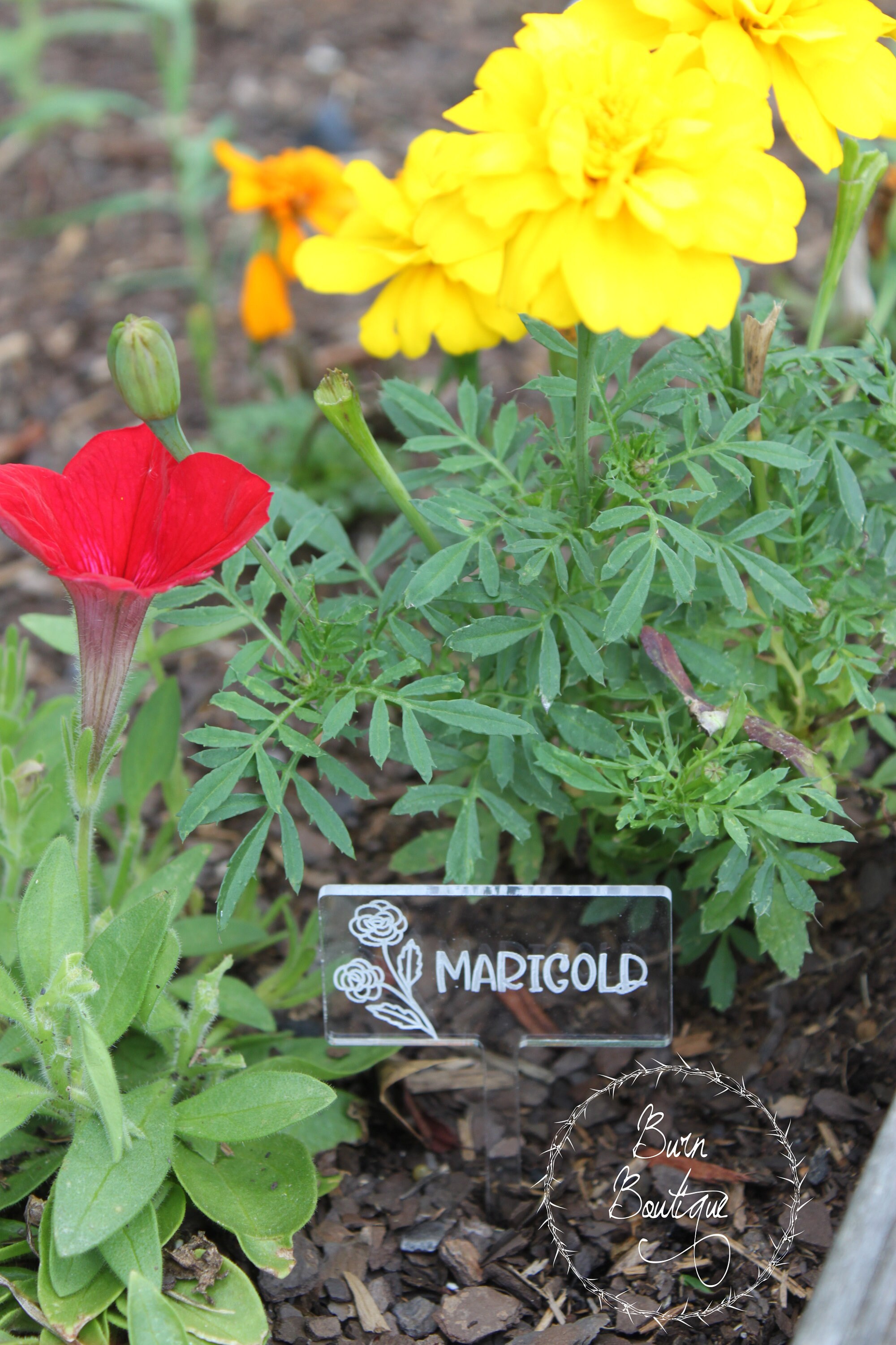 Laser Engraved Acrylic Floral Image Garden Markers Garden | Etsy