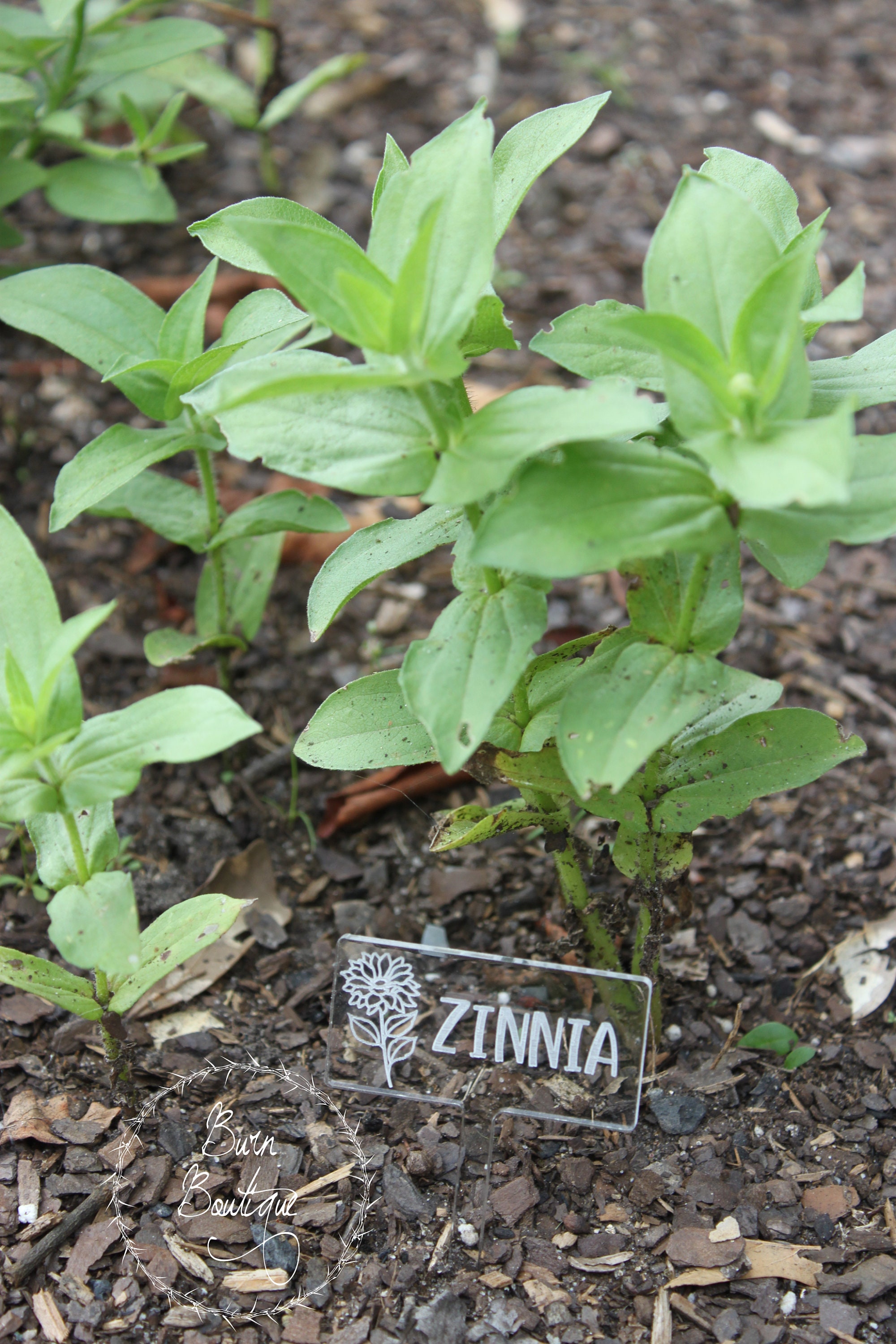 Laser Engraved Acrylic Floral Image Garden Markers Garden | Etsy