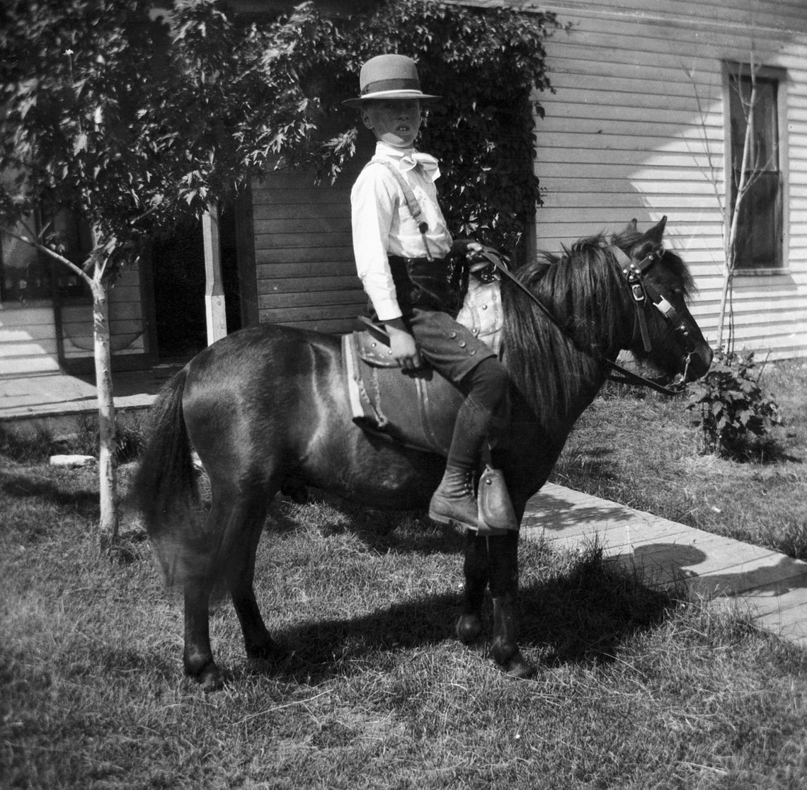 Serious Fancy Boy on Pony - 1920's - Farm Life - Etsy
