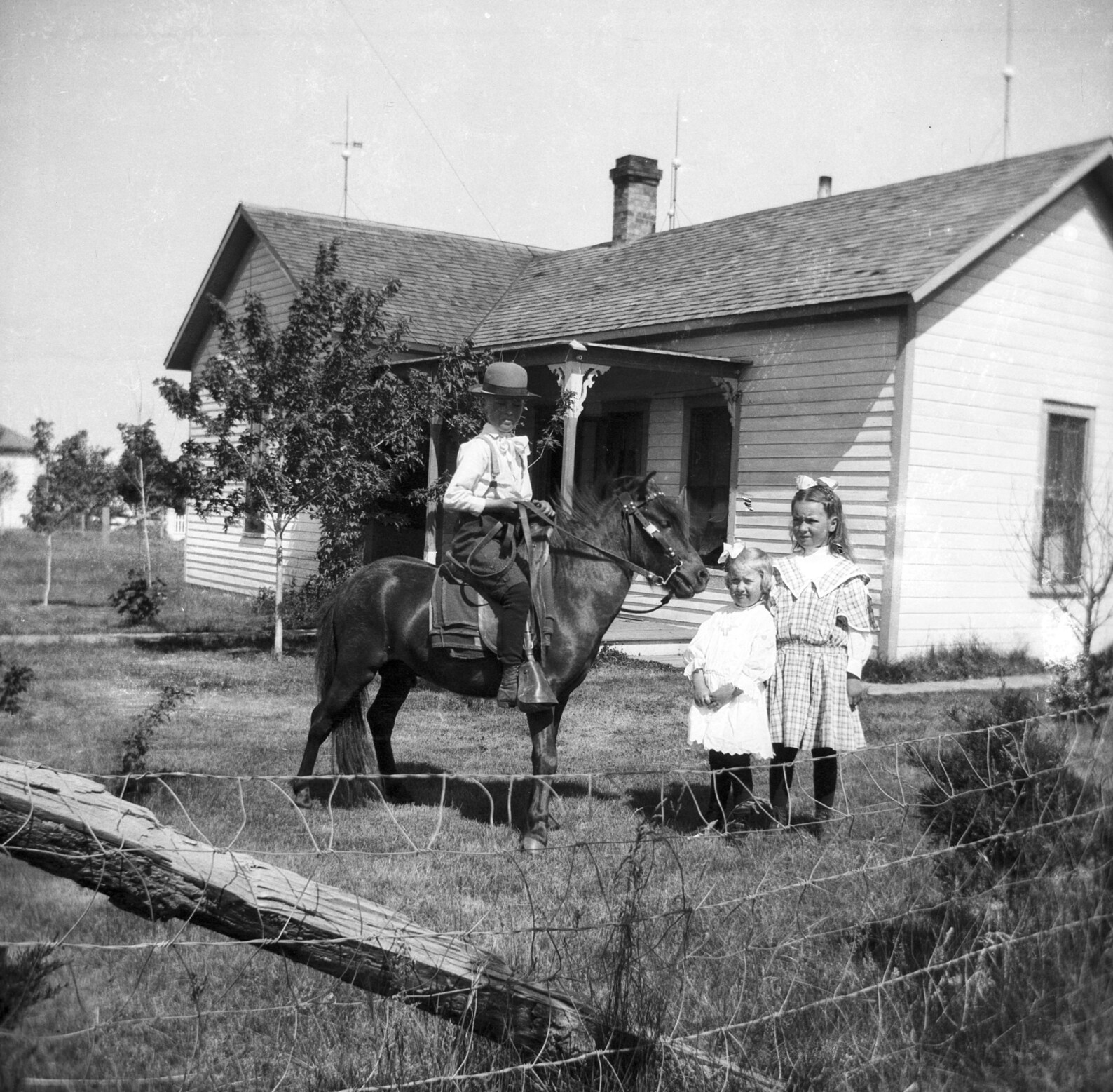 1920's Children With Pony - Farm Life - Pony Picture - Digital Download ...