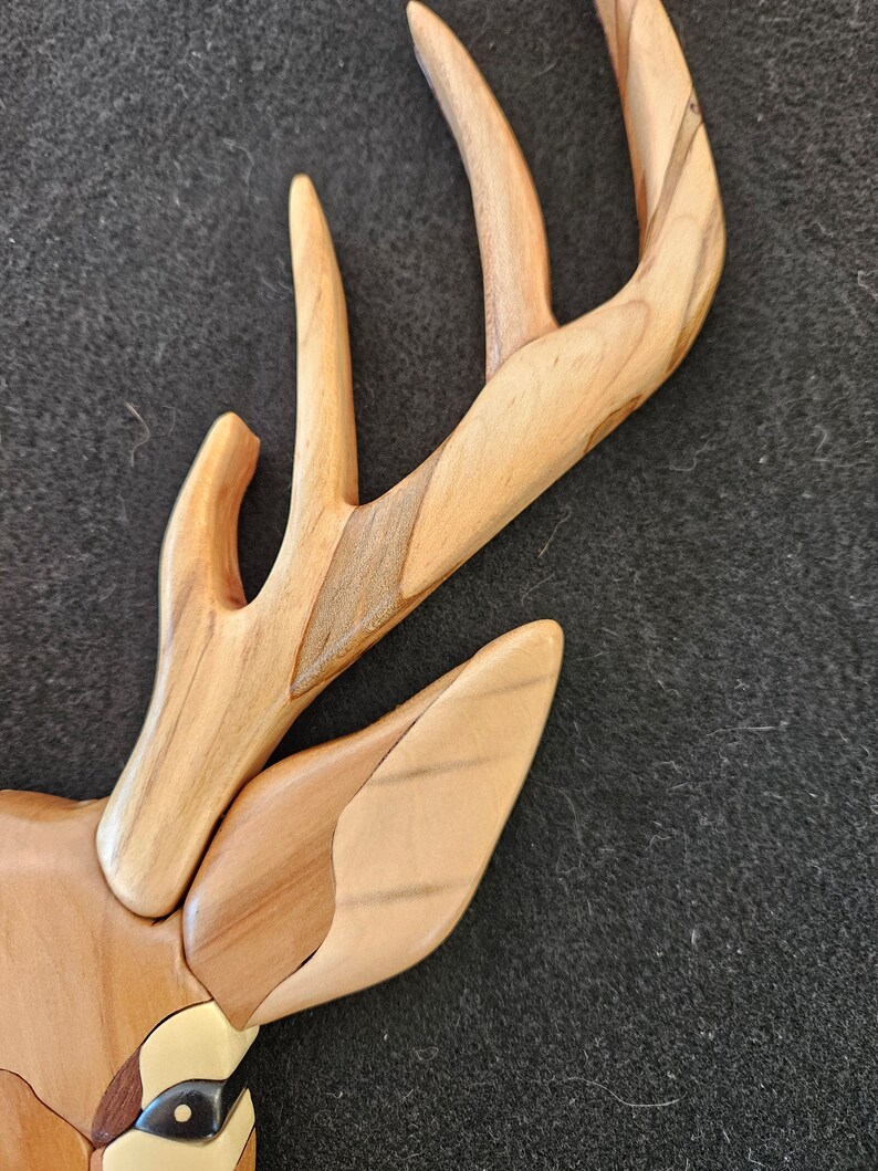 White Tale Deer. Intarsia Wooden Wall Hanging. - Etsy