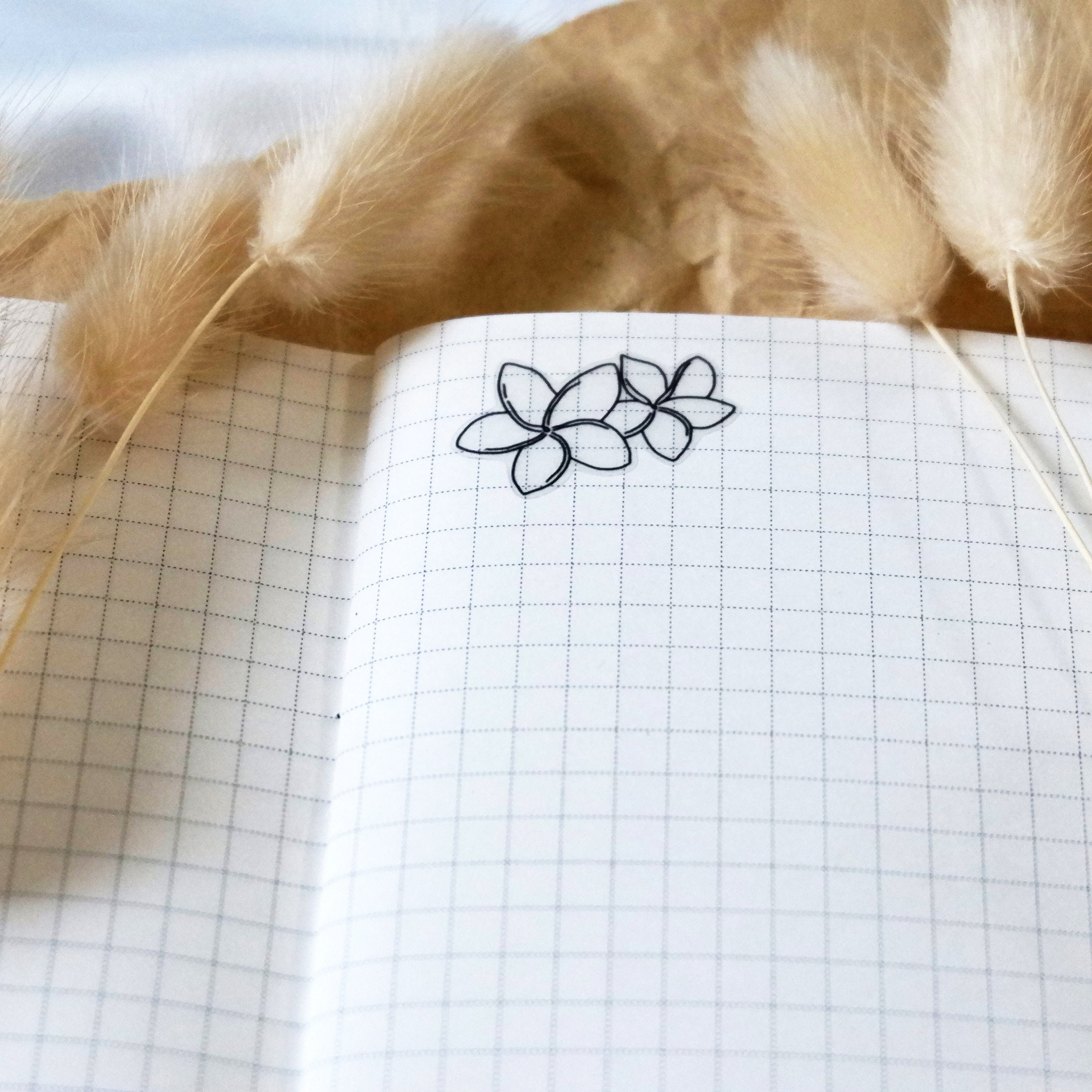 Frangipani Flowers Line Art Sticker Sheet Illustrated Bullet Journal ...