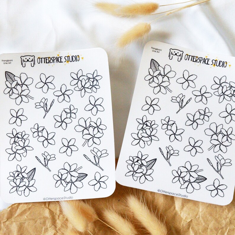 Frangipani Flowers Line Art Sticker Sheet Illustrated Bullet Journal ...