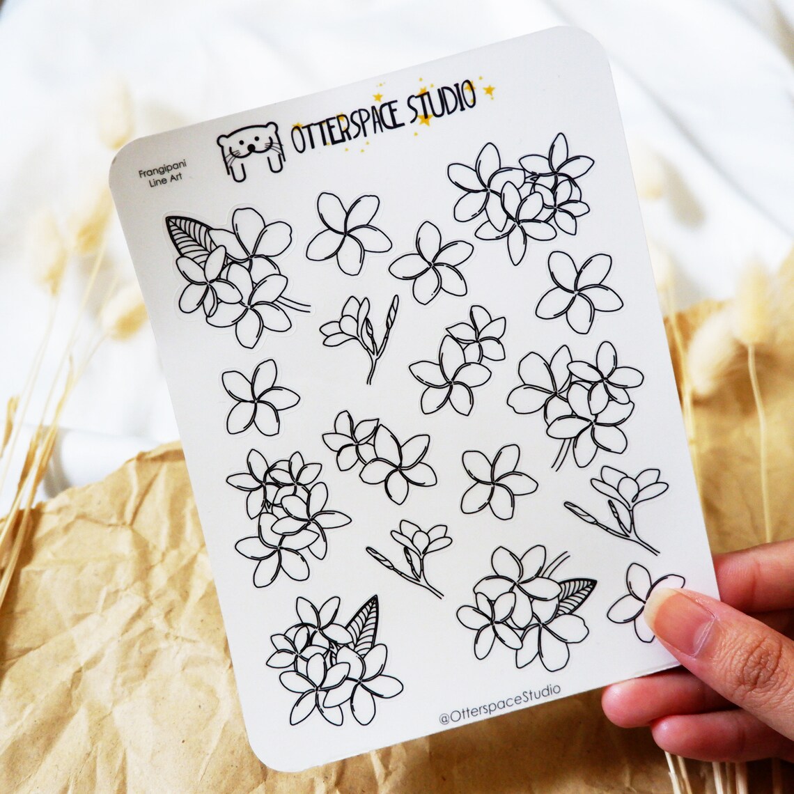 Frangipani Flowers Line Art Sticker Sheet Illustrated Bullet Journal ...