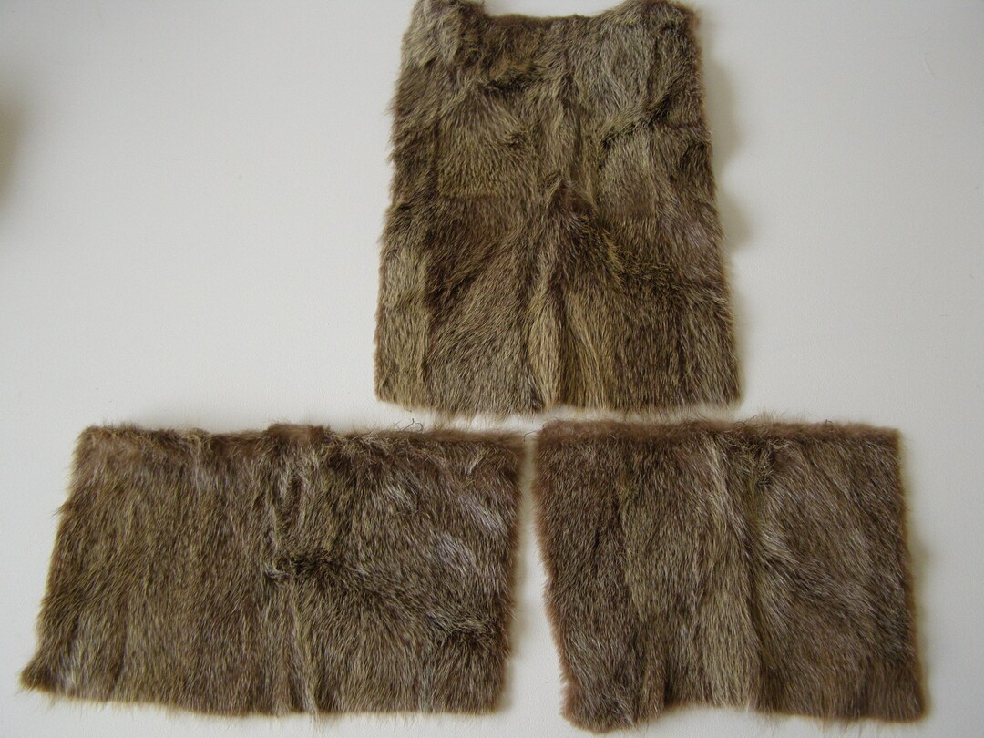Vintage Natural Nutria Fur Set of 3 Pieces. Brown Coypu Genuine Fur ...