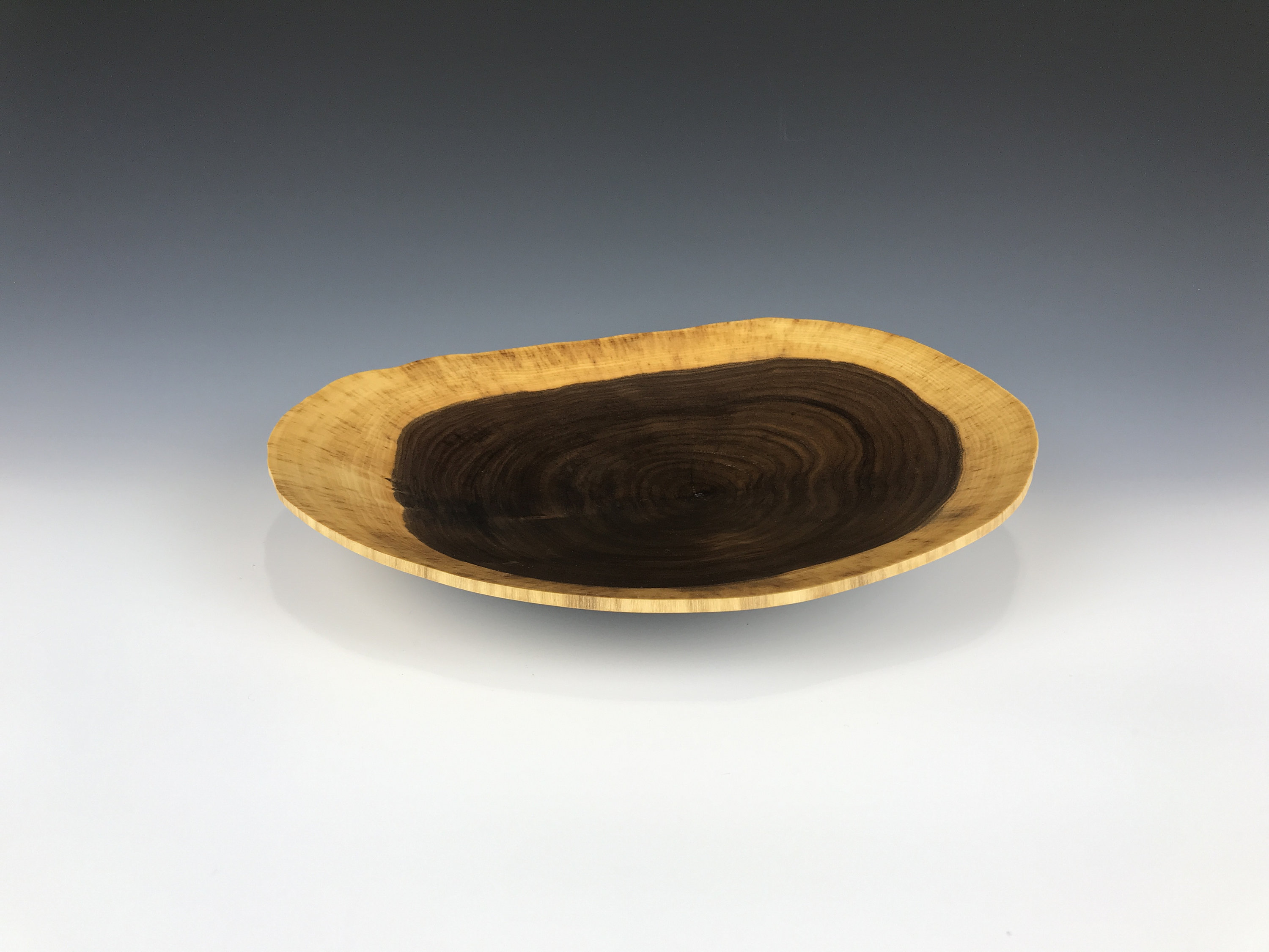 Walnut Log Cross Section