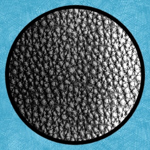 Dog Nose Textures and Stamps for Procreate - Etsy