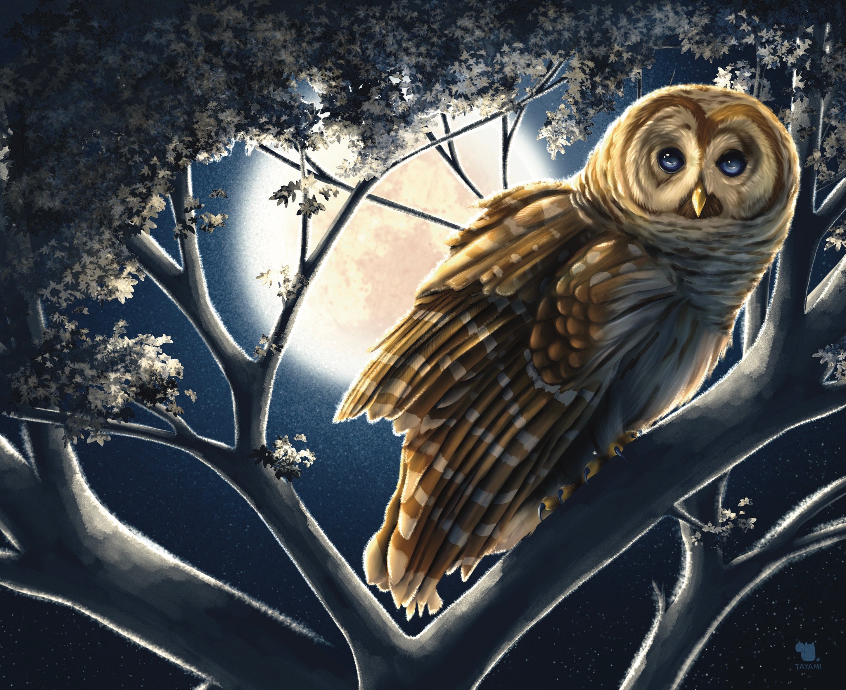 Owl Sketch Stamps for Procreate - Etsy