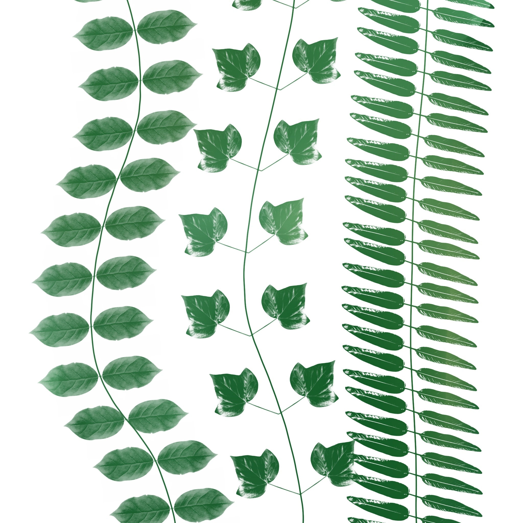 Leaf Brush Set - Etsy