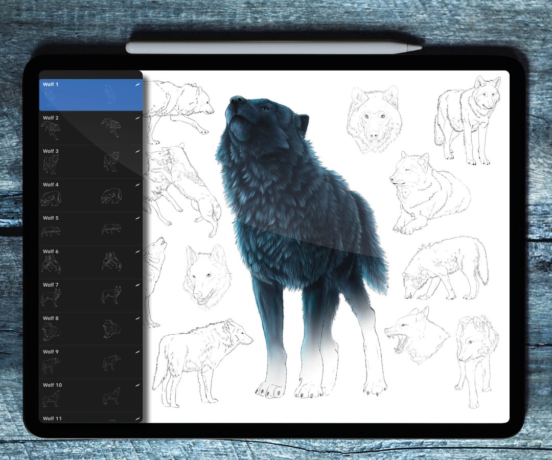 Wolf Pose Sketch Stamps for Procreate - Etsy