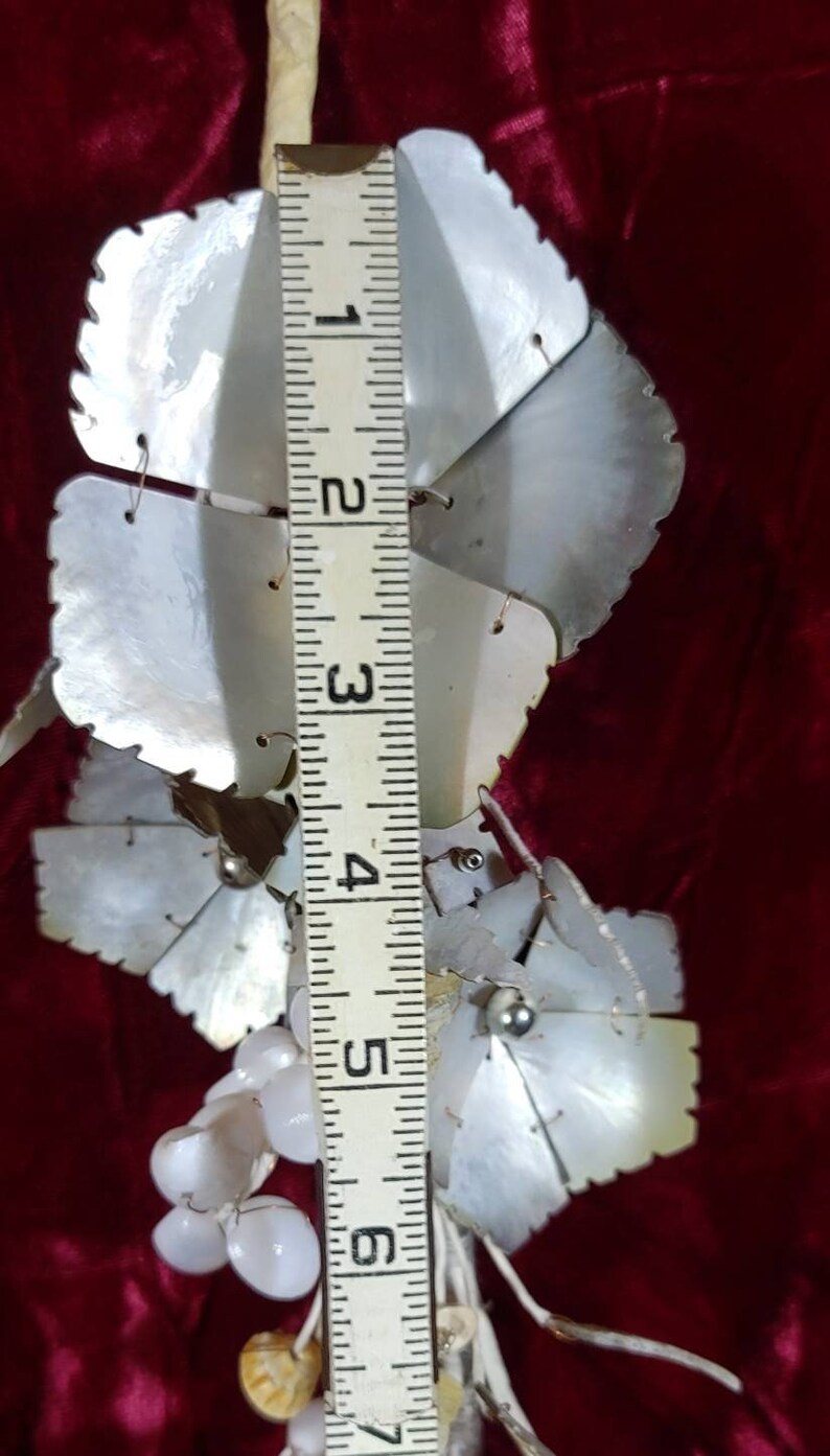 Lagang Original Philippine Nautilus Shell Flowers - Etsy