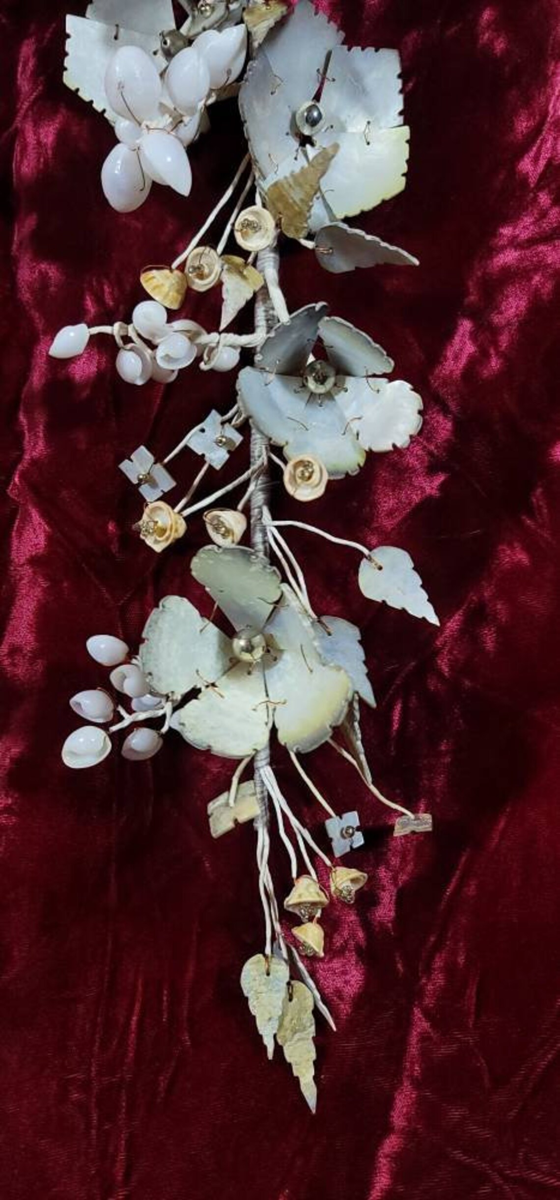 Lagang Original Philippine Nautilus Shell Flowers - Etsy