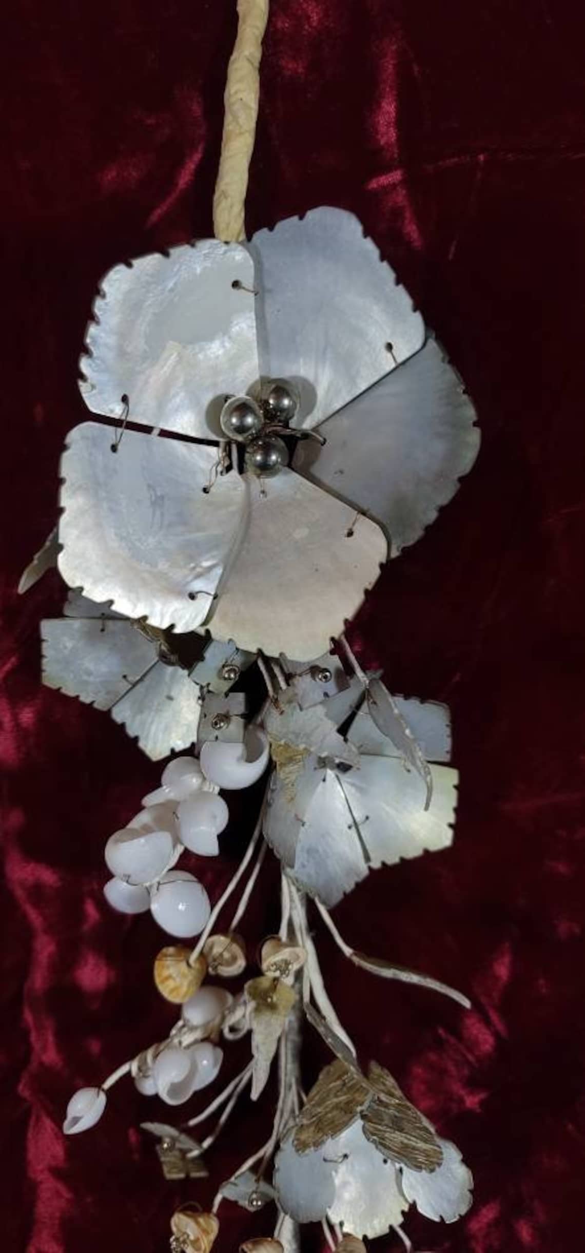 Lagang Original Philippine Nautilus Shell Flowers - Etsy