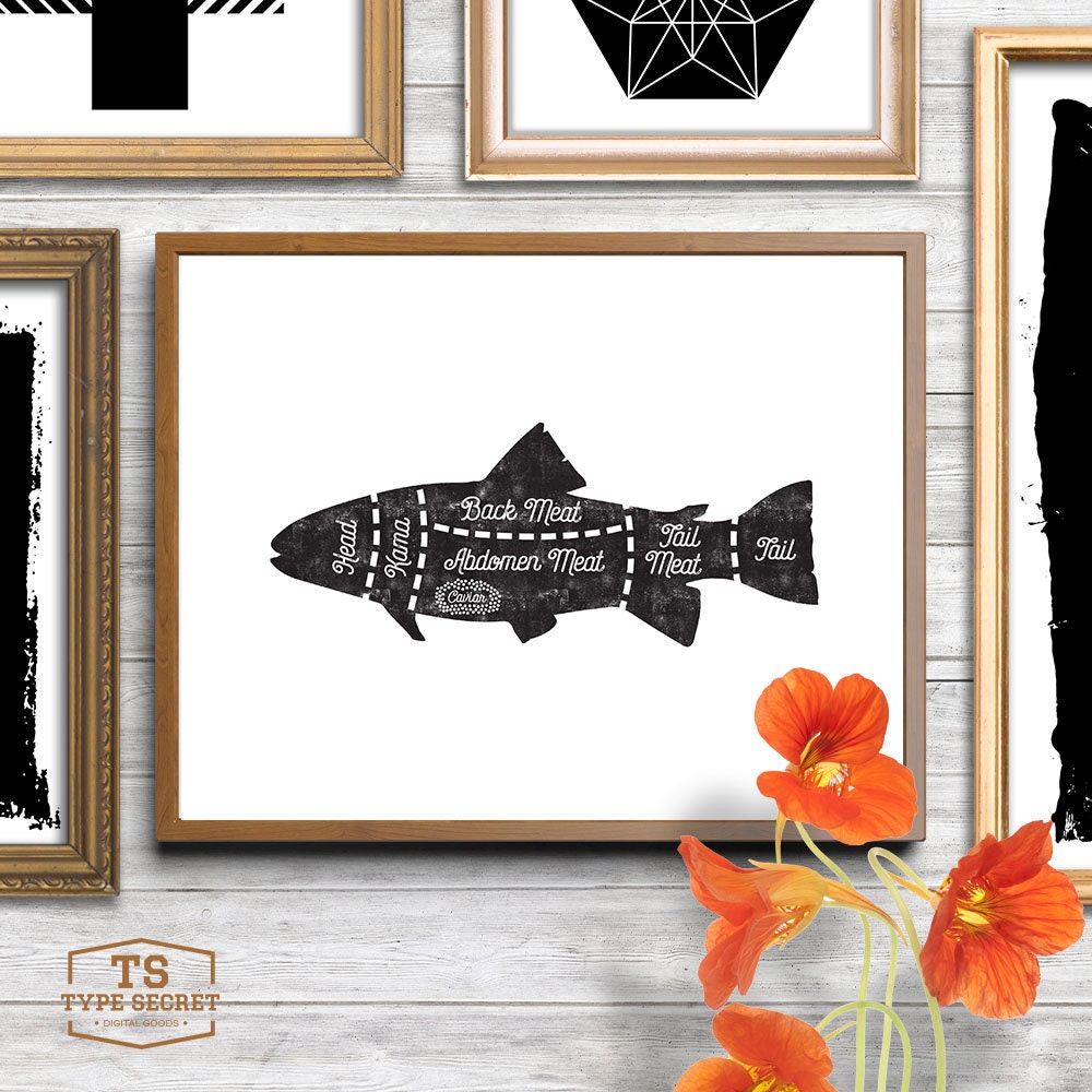 Fish, Fish Meat, Cuts, Butcher Cuts, Fish, Butcher Print, Fish Print ...