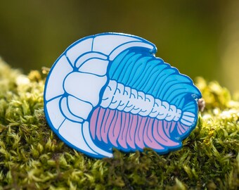 Trilobite Pin | Etsy
