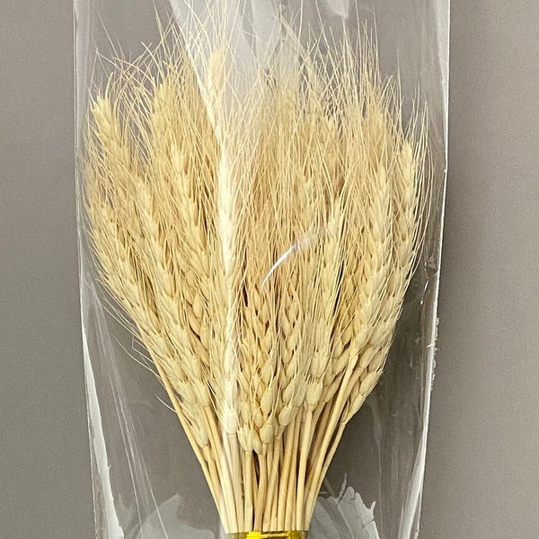 Dried Wheat - Etsy