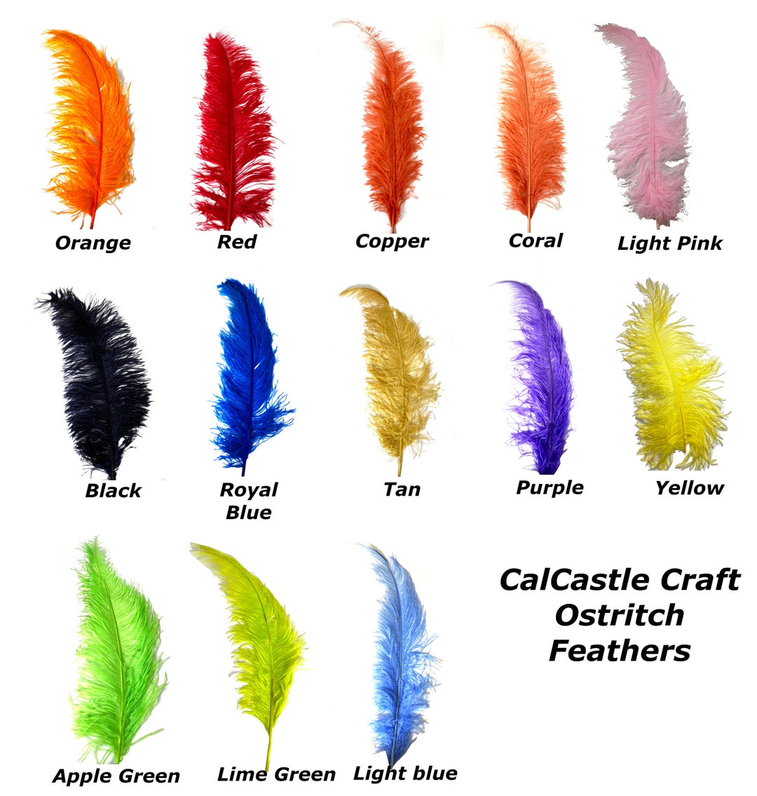 22"-27" 5 Piece Ostrich Feathers Vibrant Colors - Etsy
