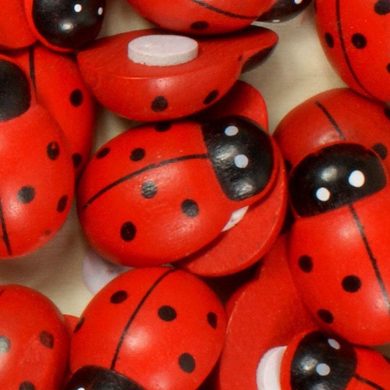 Wooden Lady Bug - Etsy