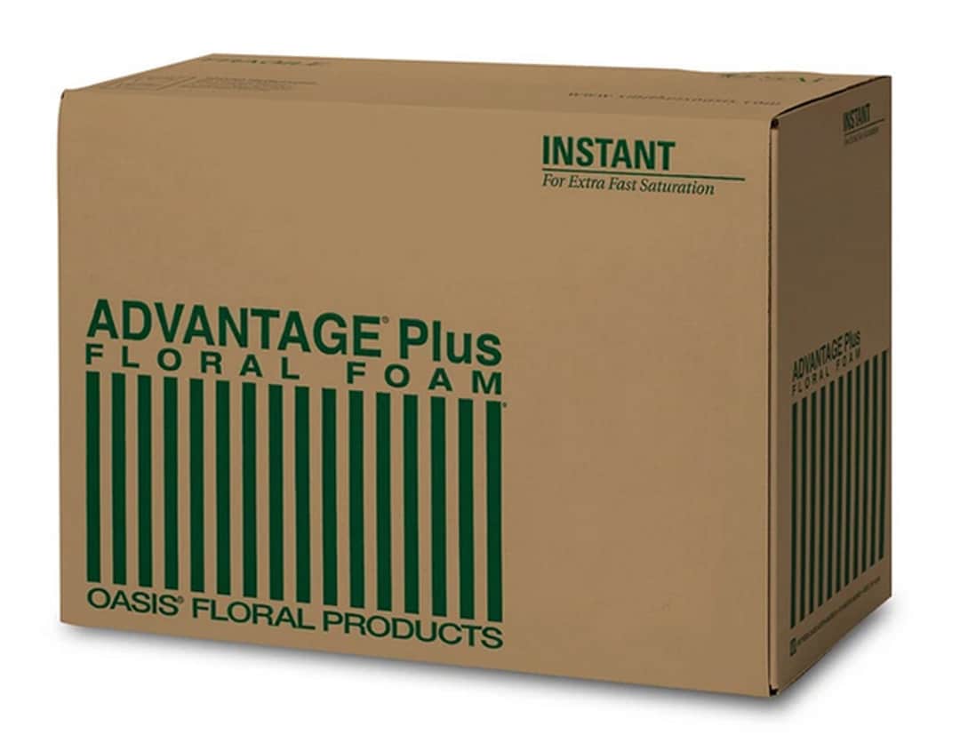 Oasis Advantage Plus Floral Foam Blocks (48 Ct) - Etsy