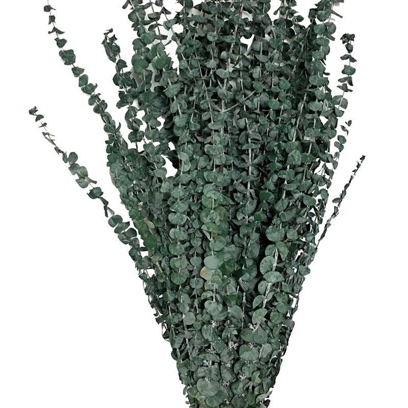 Fragrant Natural Wreath - Etsy