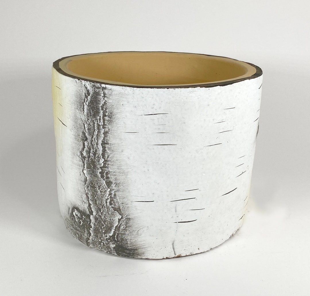 Unique Craft Tree Trunk Vases Birch Tree Edition 8x8x6 With Drainage - Etsy