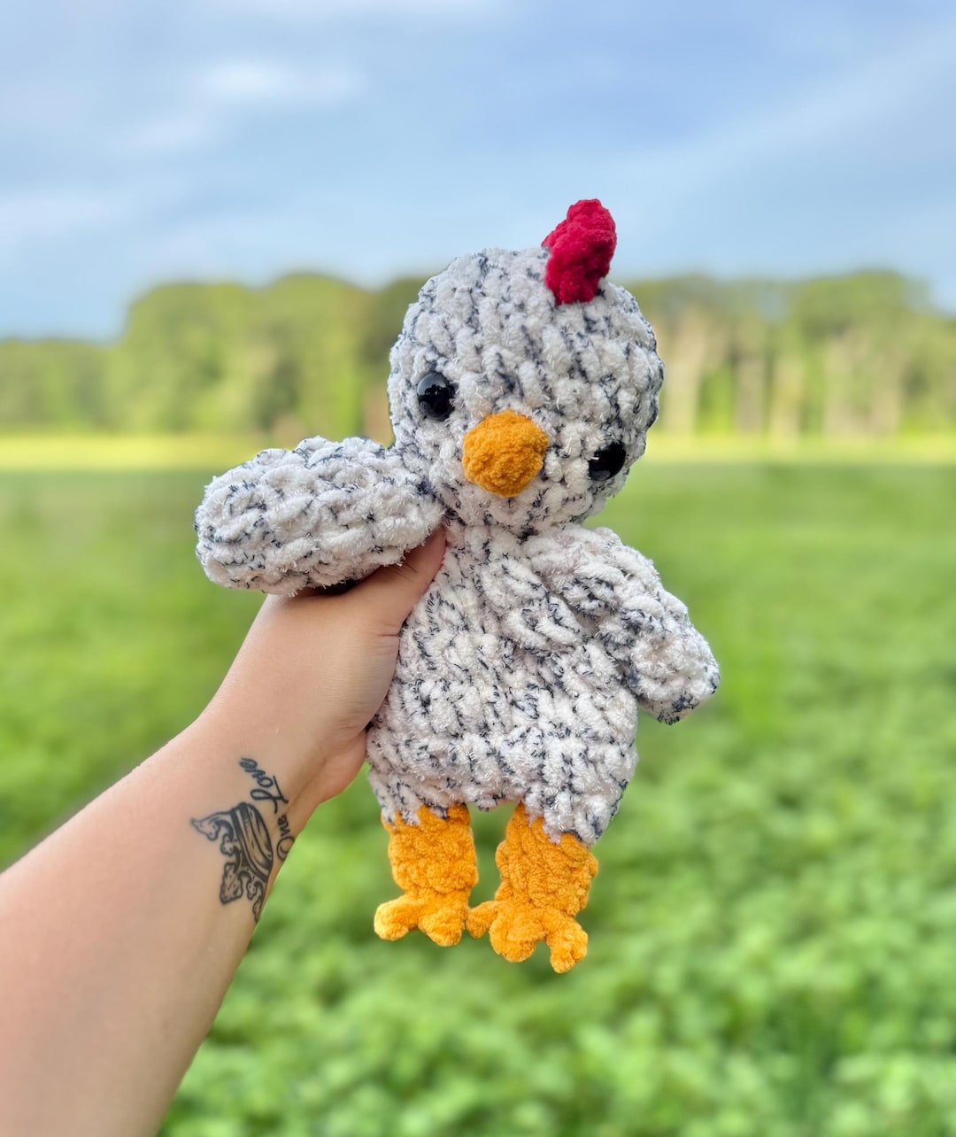 Chicken Lovey-snuggler, Farm Animal, Cuddly Chicken, Bird, Chicken ...