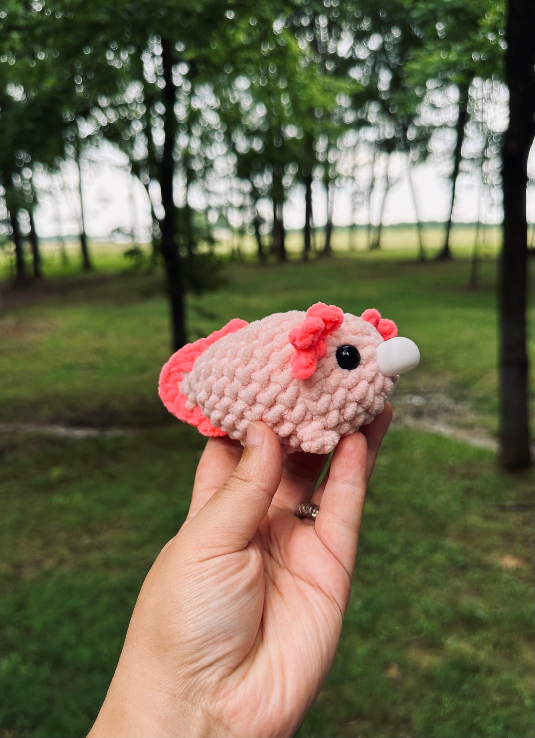 Squishy Axolotl, Axolotl Balloon Friend, Fidget Pops, Fidget Toy - Etsy