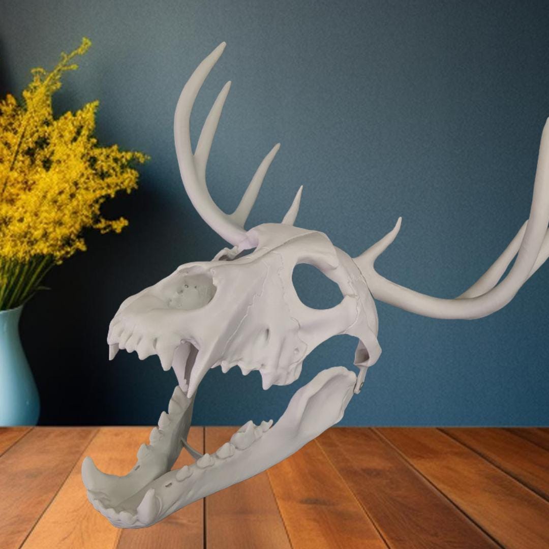 Wolf Skull Mask Moving Jaw, 3d Printed Mask, Skull Mask, Cosplay Mask ...