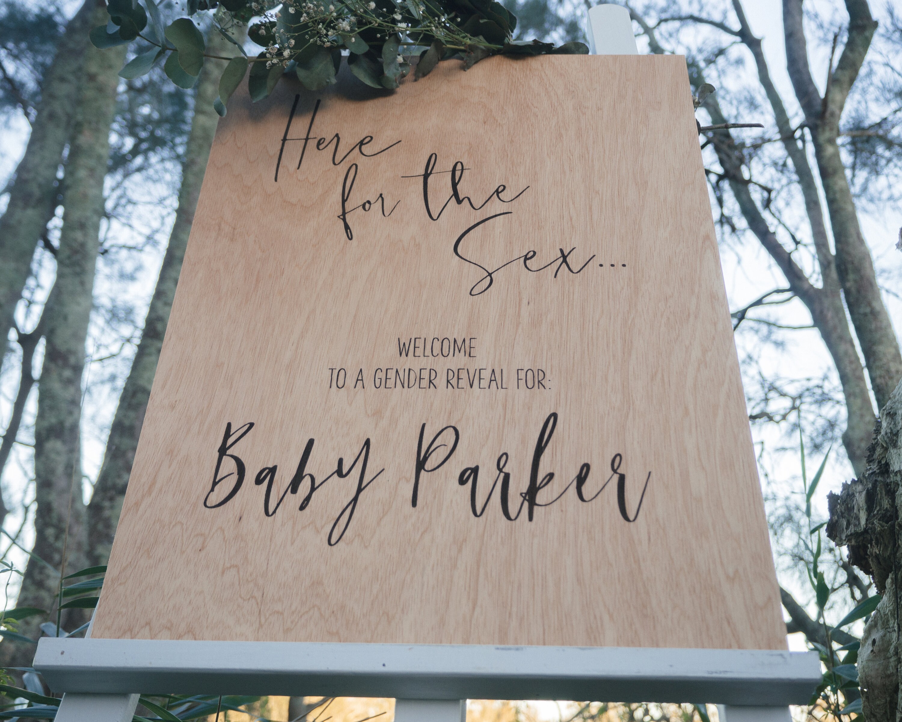 Gender Reveal – Reveal Sign - Gender Reveal Party - Gender Reveal ...