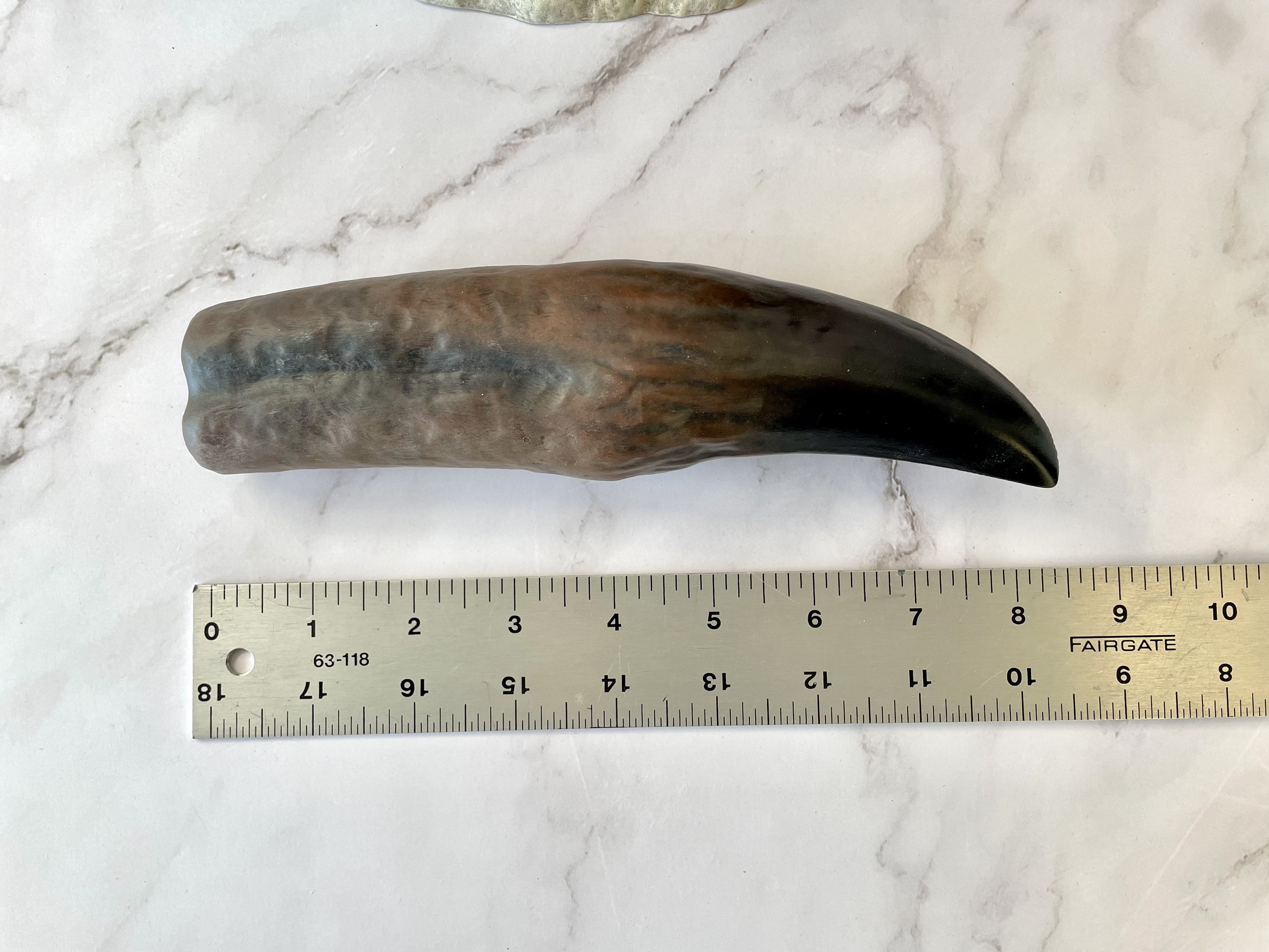 Tyrannosaurus Rex Tooth Fossil Replica T-rex Tooth Fossil - Etsy
