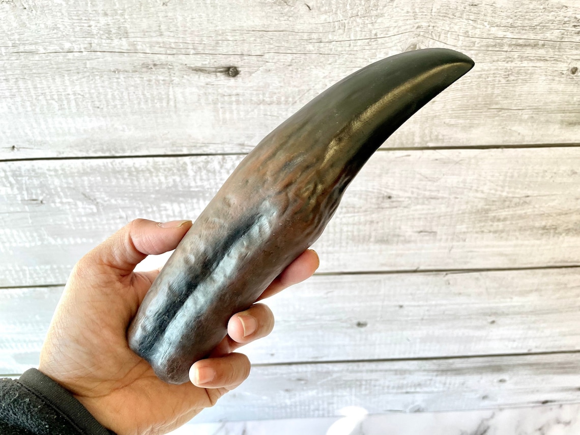 Tyrannosaurus Rex Tooth Fossil Replica T-rex Tooth Fossil - Etsy