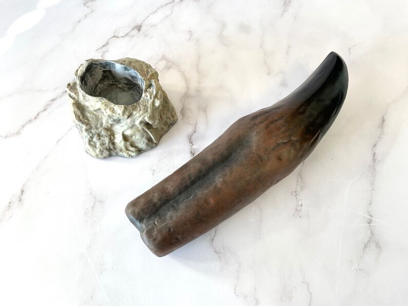 Tyrannosaurus Rex Tooth Fossil Replica T-rex Tooth Fossil - Etsy