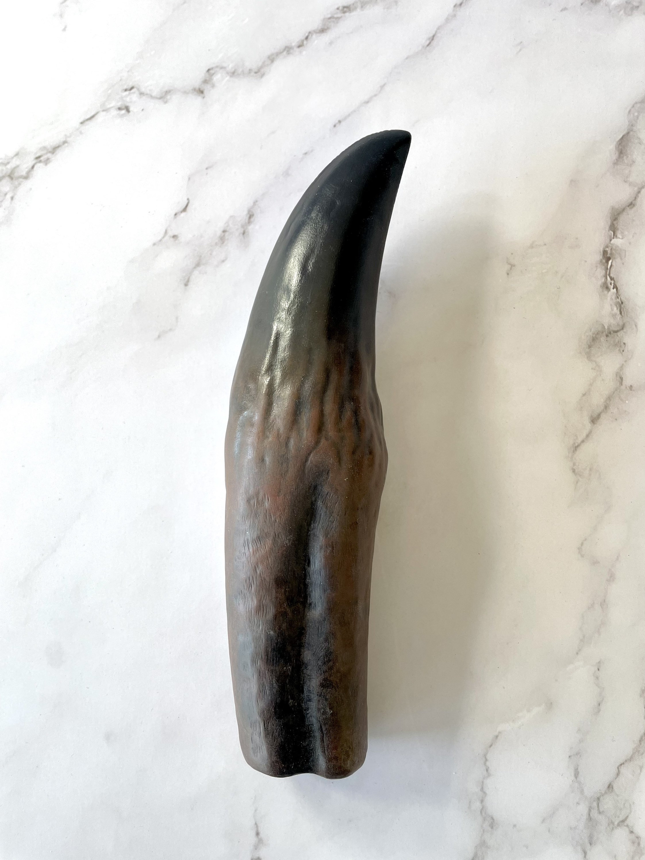 Tyrannosaurus Rex Tooth Fossil Replica T-rex Tooth Fossil - Etsy