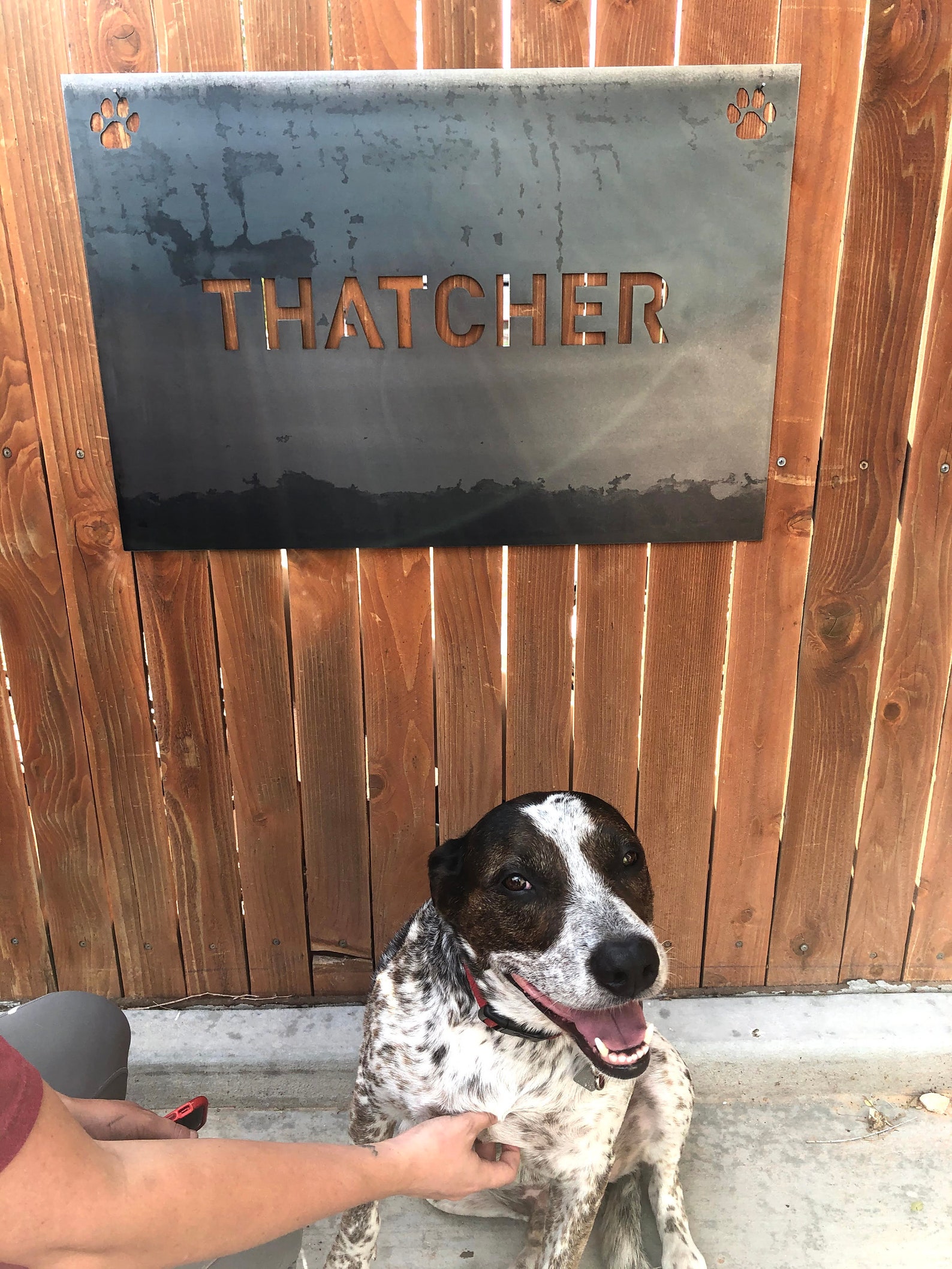 Dog Paw Magnet Board | Pet Gift | House Sign | Magnetic | Metal Wall ...