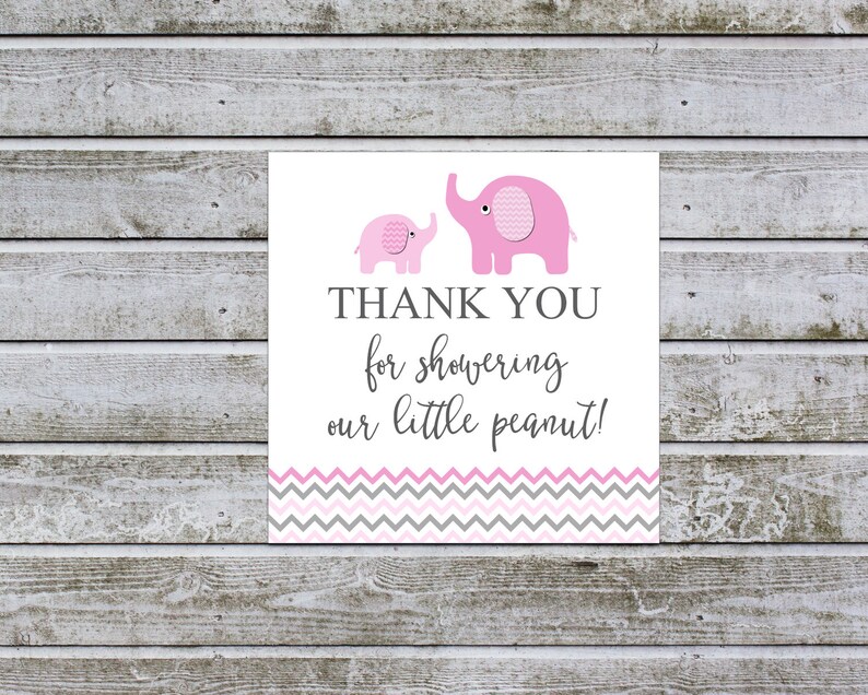 Thank You Tags Thank You for Showering Our Little Peanut Girl Baby ...