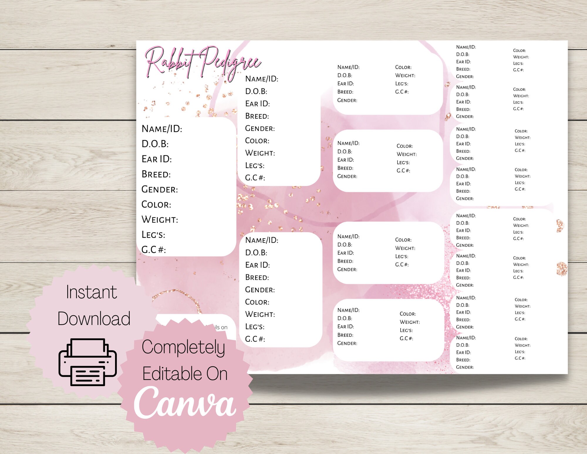 Pink Watercolor, Pre-made Pedigree, Editable Pedigree, Pedigree ...