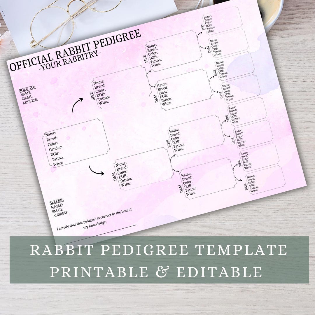 Rabbit Pedigree, Editable Rabbit Pedigree, Pedigree, Rabbit Breeding ...