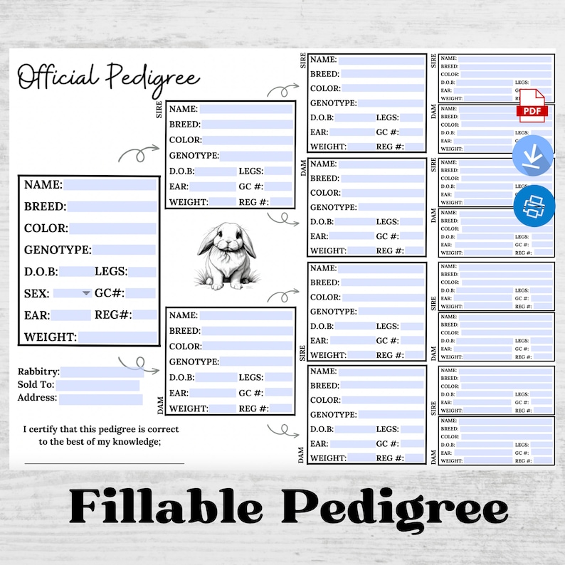 Fillable Rabbit Pedigree Template (PDF) - Etsy