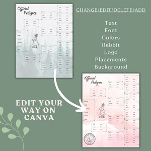 Rabbit Pedigree, Rabbitry, Bunny, ARBA, Breeder, Personalized Pedigree ...