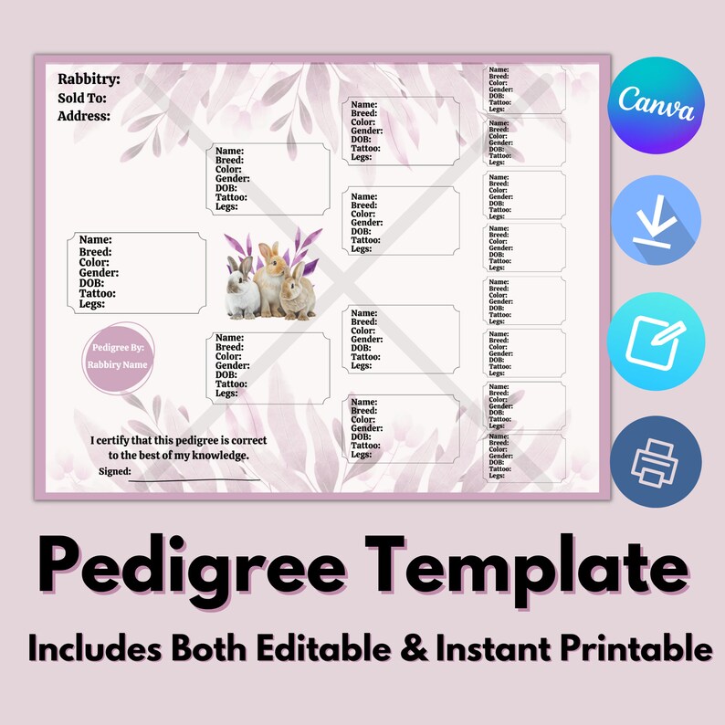 Rabbit Pedigree, Pedigree Template, Rabbitry, Rabbitry Pedigree ...