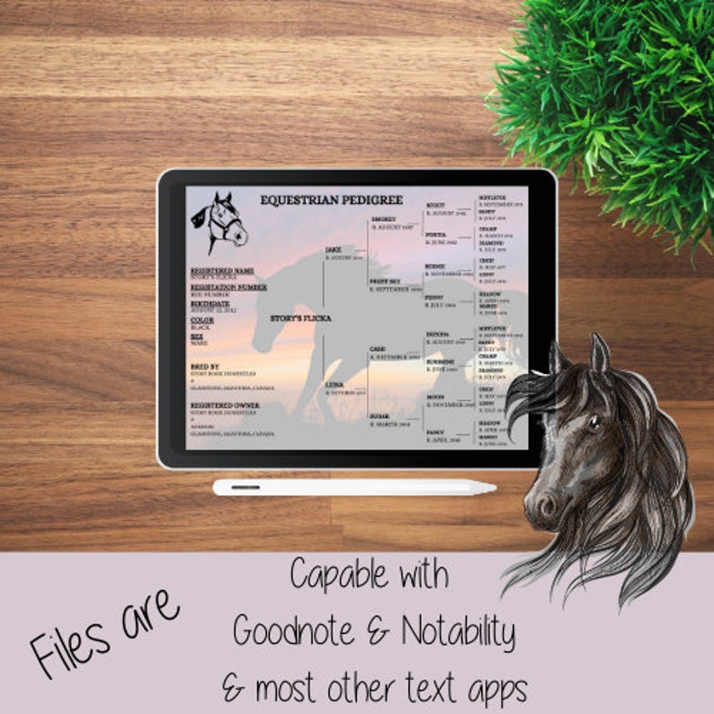 Editable Horse Pedigree Template: Equestrian 5-generation (canva & PDF ...