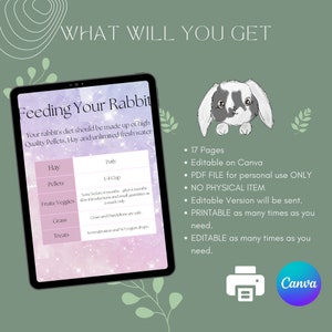 Premade - Editable, Rabbit Homing Kit, Rabbit Homing Guide, Rabbit Care ...