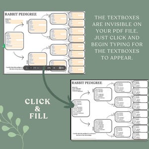 Rabbit Pedigree Template, Fillable Pedigree, Rabbit Pedigree, Rabbitry ...