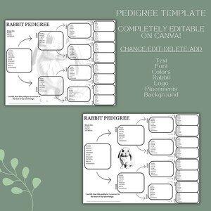 Holland Lop Pedigree Template: Editable Rabbit Lineage (printable PDF ...