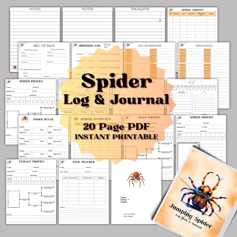 Jumping Spiders Journal - Etsy