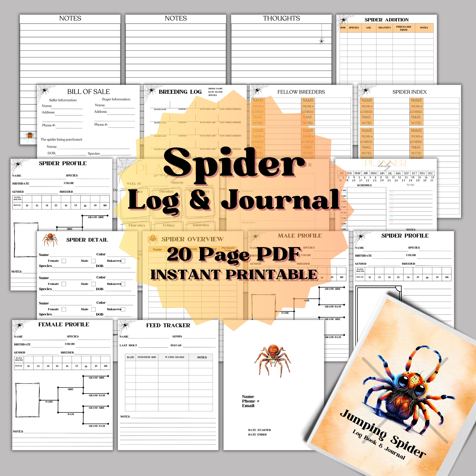 Spider Journal - 20 Pg Logbook, Jumping Spider Tracker, Spider Feed ...